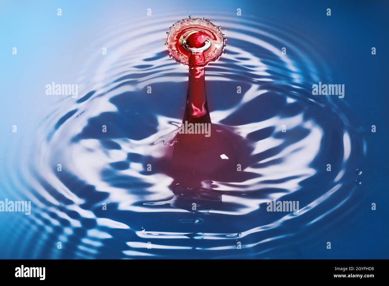 Red water drops crashing together and creating ripples in clean blue ...