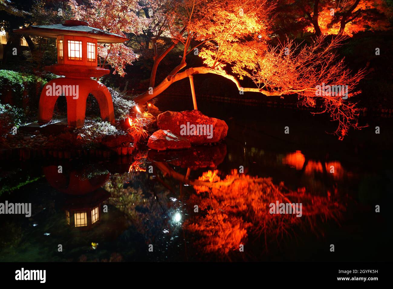 Autumn colors light up the Japanese garden. Shooting Location: Tokyo ...