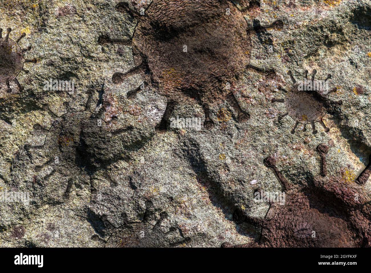 Old stone and rock textures with some virus fossil virus visualization ...