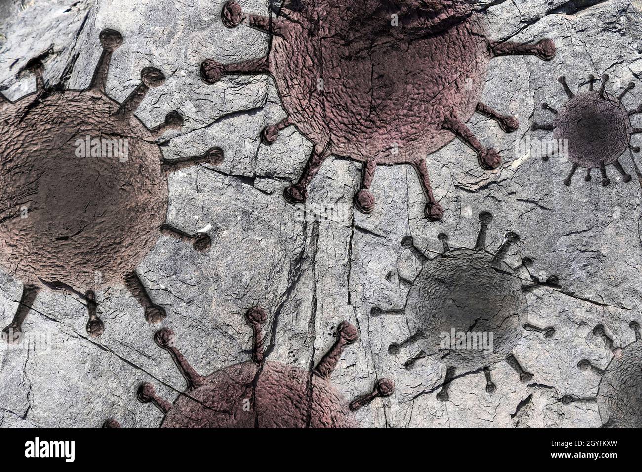 Old stone and rock textures with some virus fossil virus visualization ...