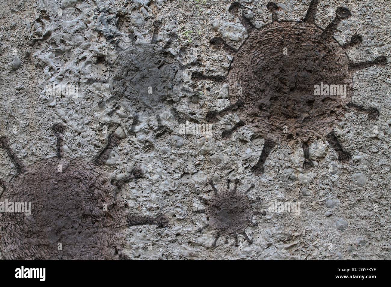 Old stone and rock textures with some virus fossil virus visualization ...