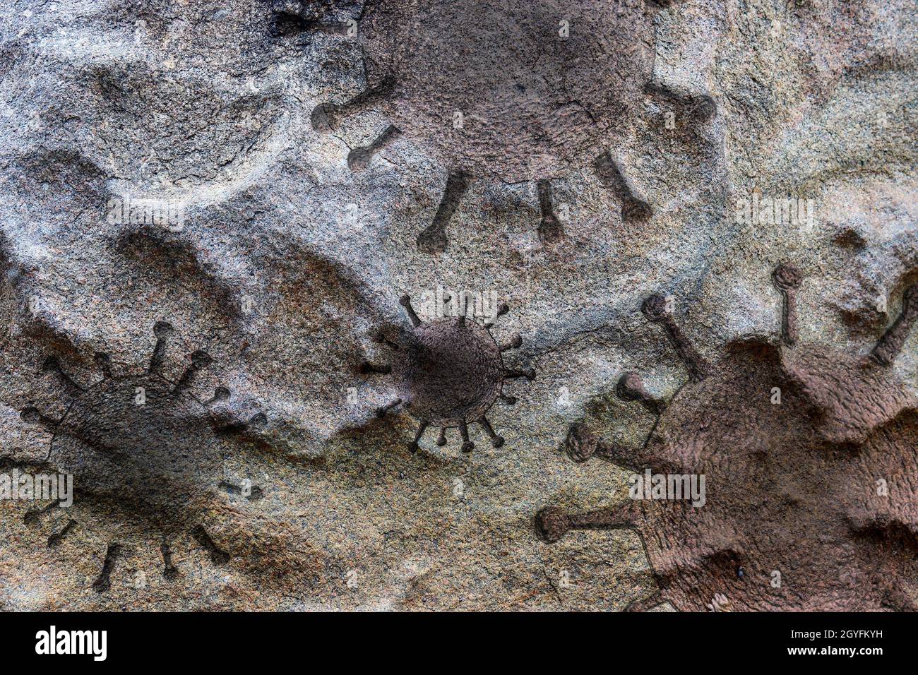 Old stone and rock textures with some virus fossil virus visualization ...