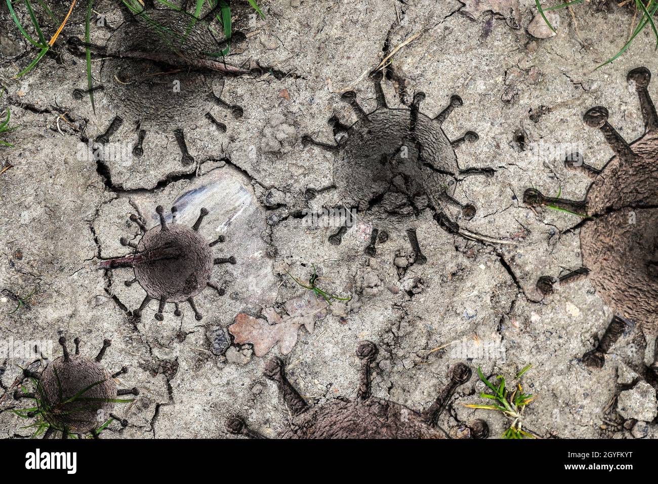 Old stone and rock textures with some virus fossil virus visualization ...