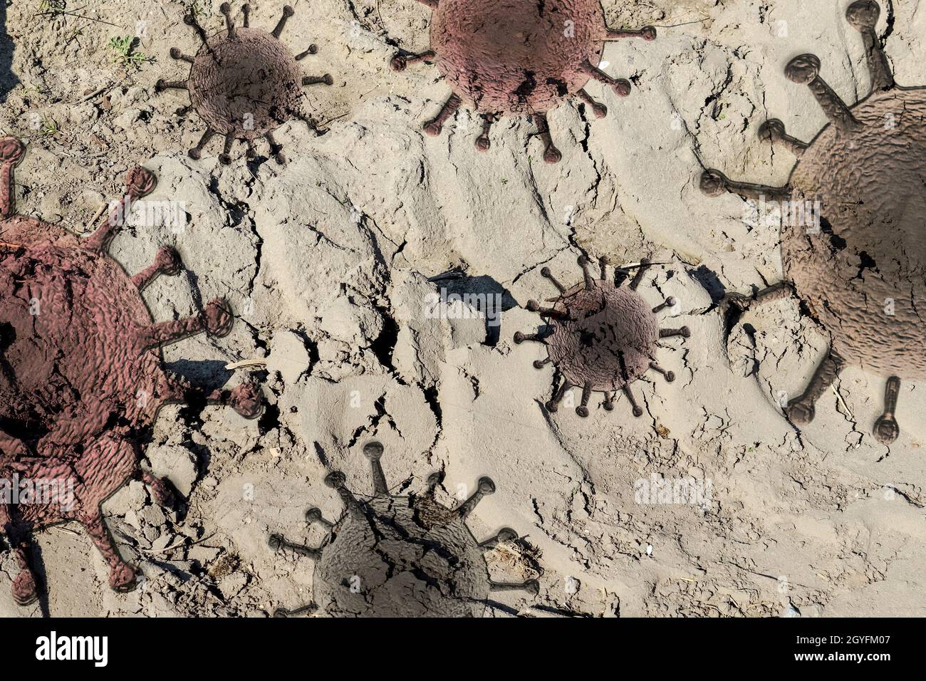 Old stone and rock textures with some virus fossil virus visualization ...