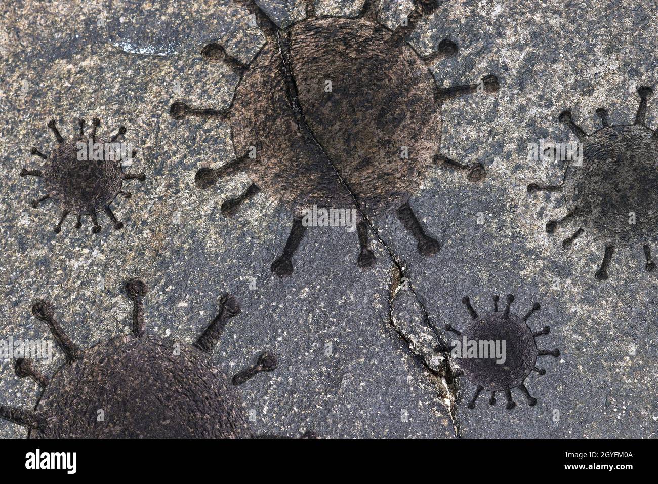 Old stone and rock textures with some virus fossil virus visualization ...