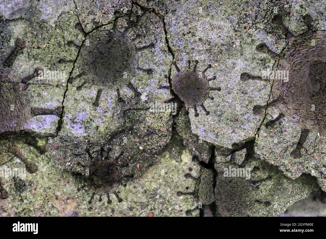 Old stone and rock textures with some virus fossil virus visualization ...