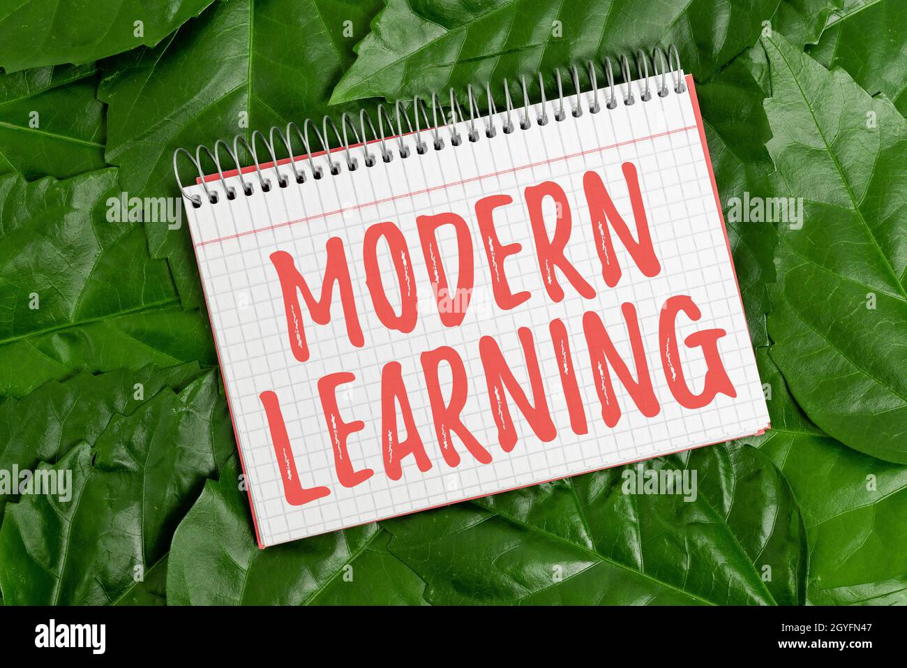 Text sign showing Modern Learning, Business showcase flexible and agile ...