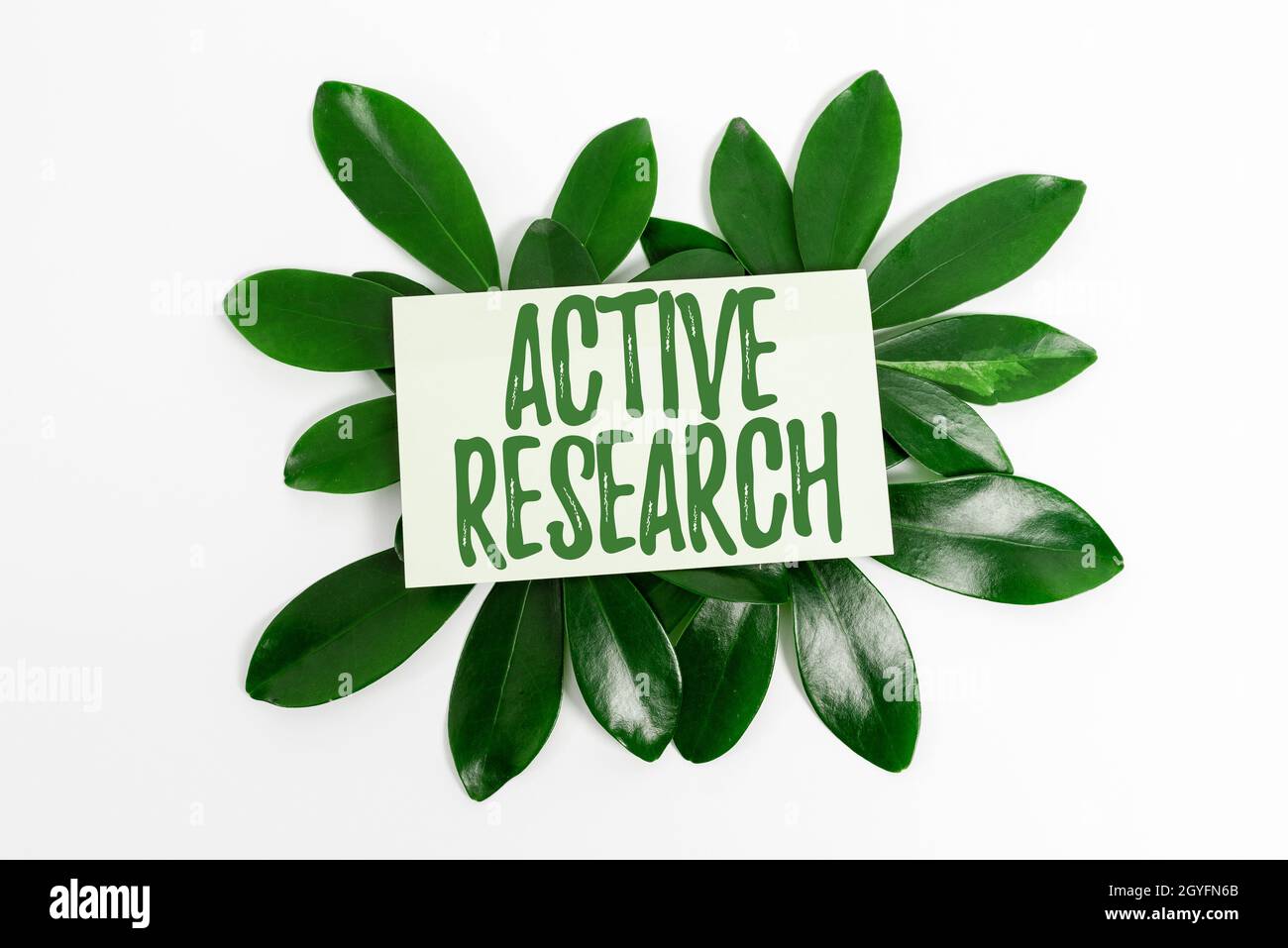 Text sign showing Active Research, Business overview Simultaneous ...