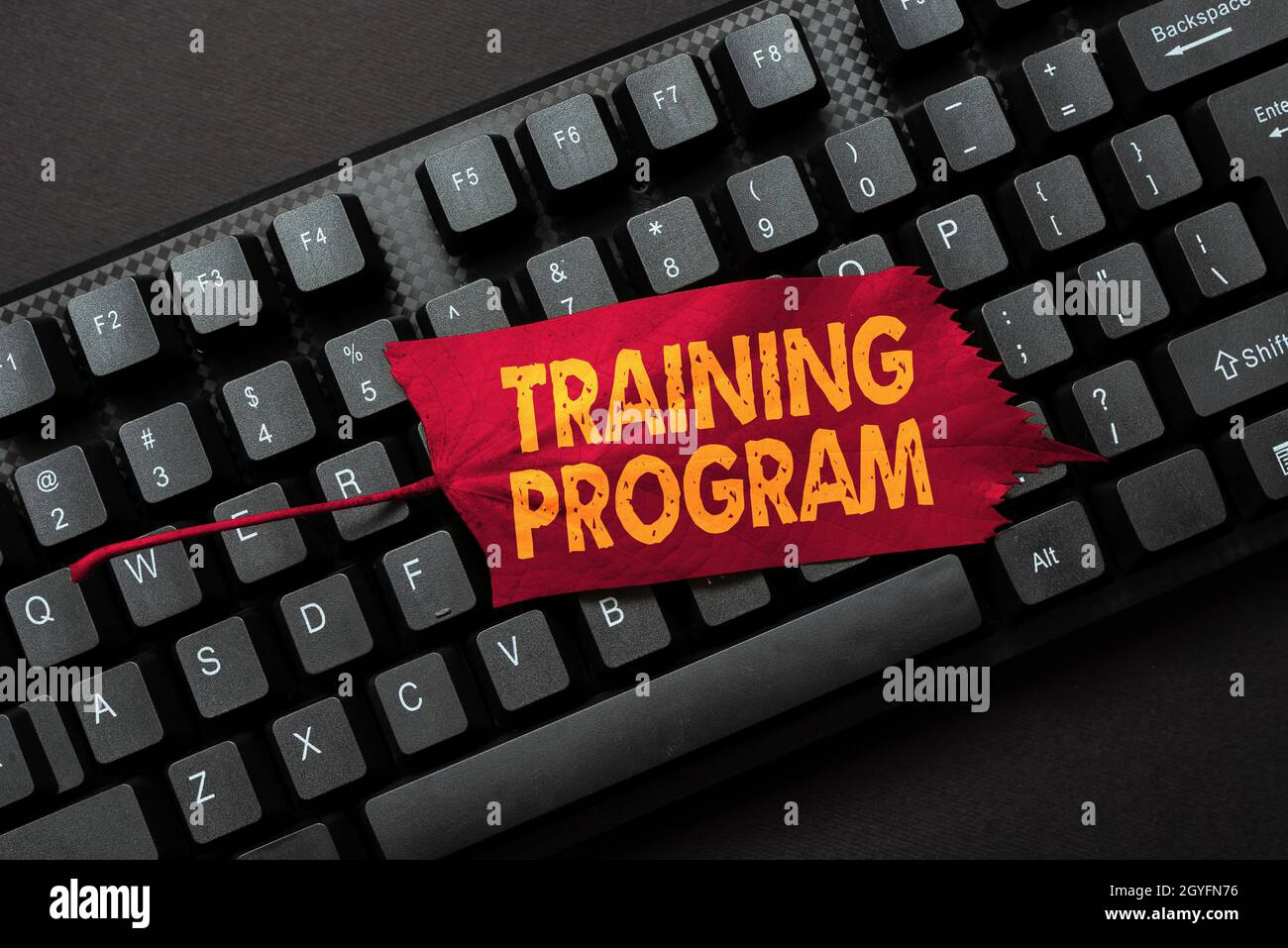 Hand writing sign Training Program, Business showcase learn specific knowledge or skills to ...