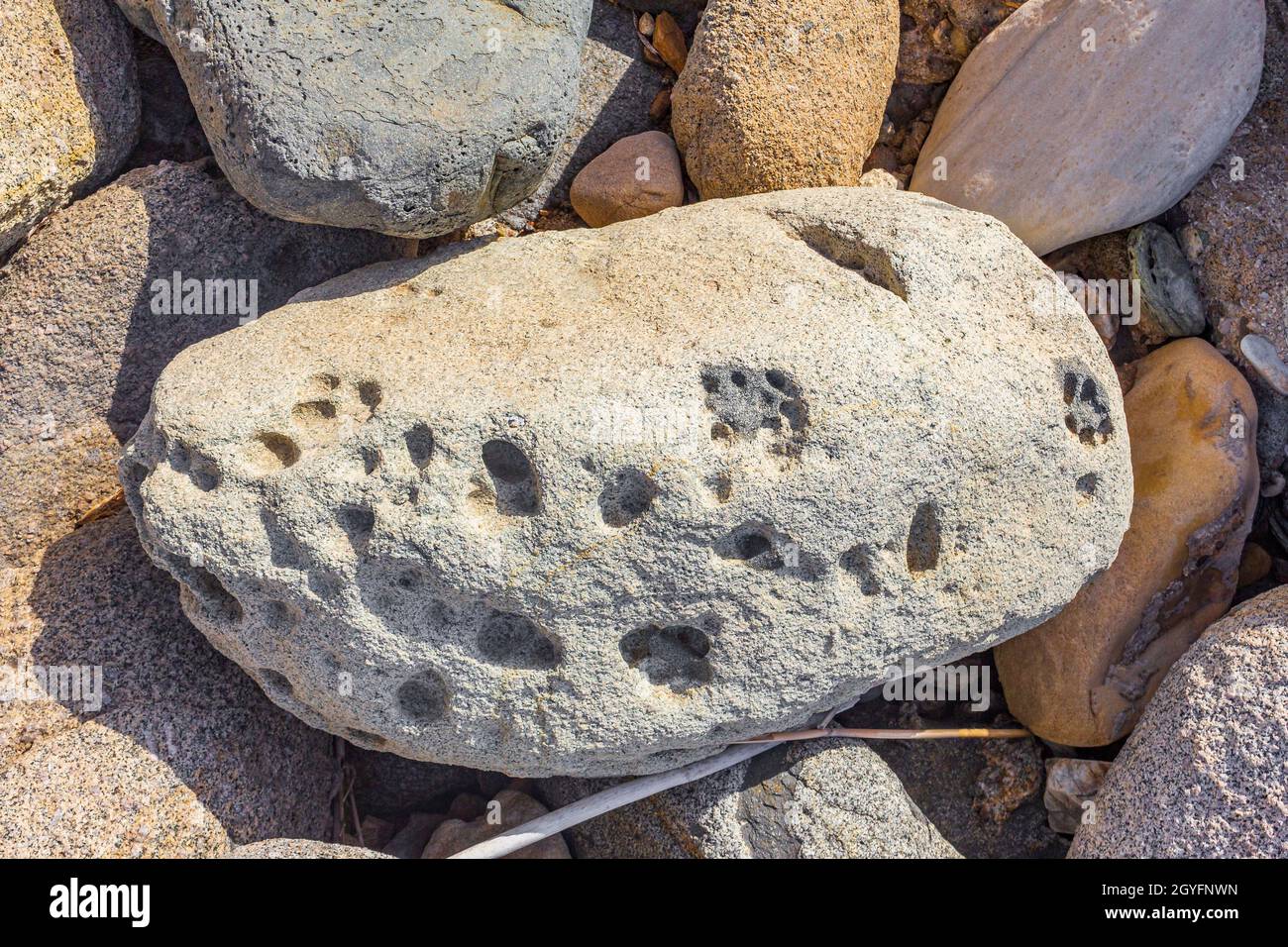 Strange boulders and rock formations on the coast of Kos Island in ...