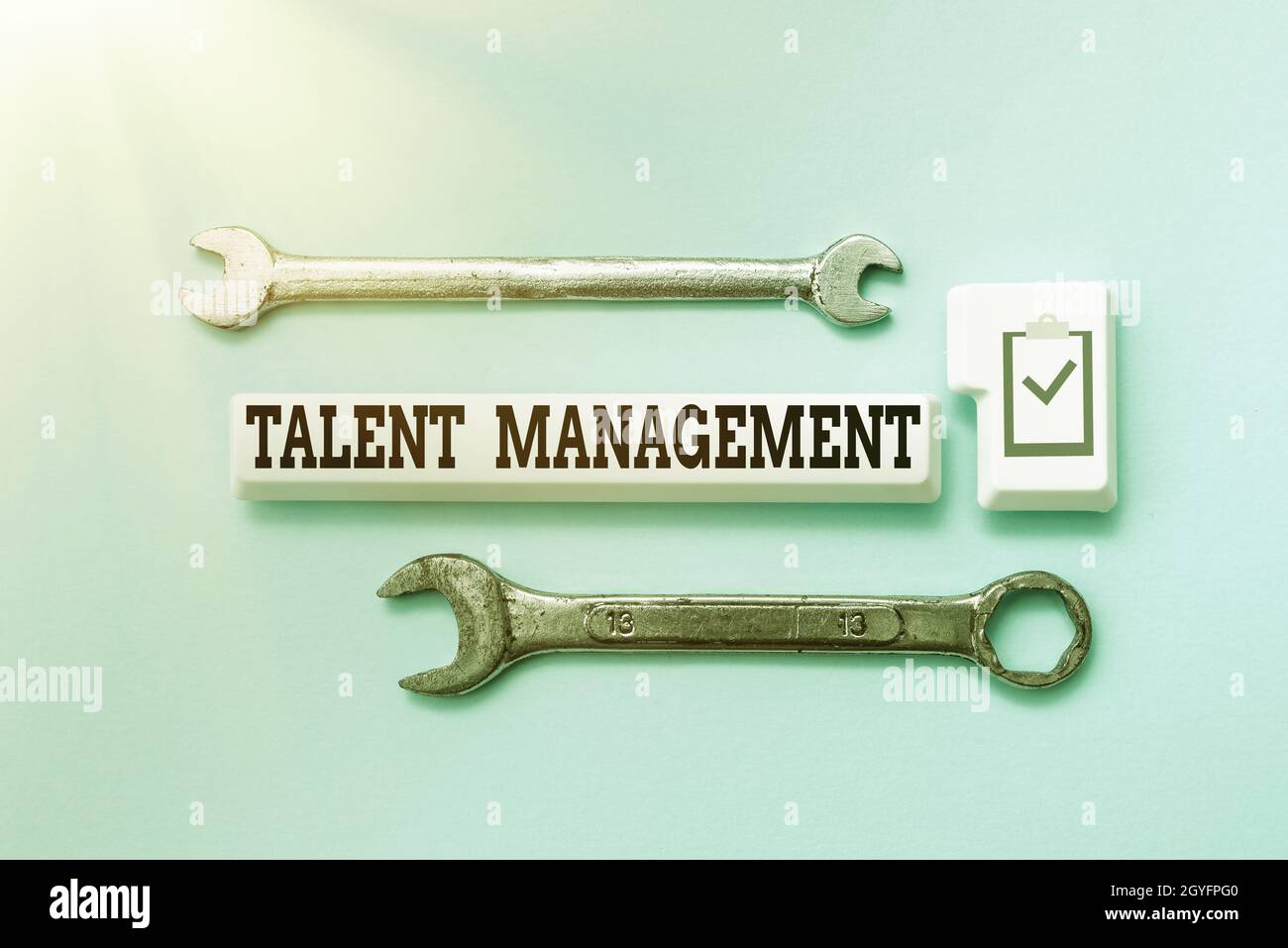Conceptual display Talent Management, Internet Concept anticipation of ... Conceptual display Talent Management, Internet Concept anticipation of ...