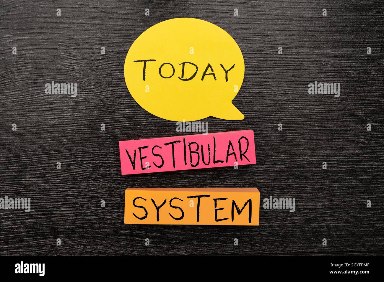 Hand writing sign Vestibular System, Business overview provides the ...