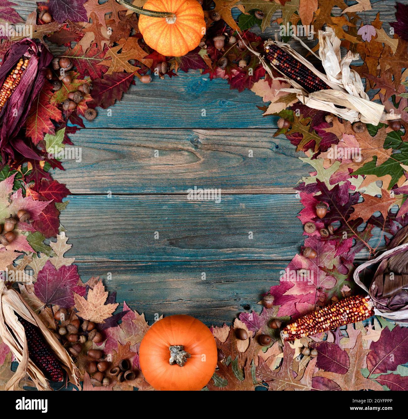 Real pumpkins hi-res stock photography and images - Alamy