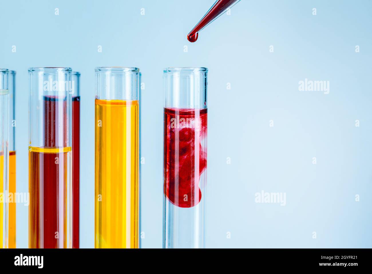 Laboratory test tubes with red and yellow liquids on light blue ...