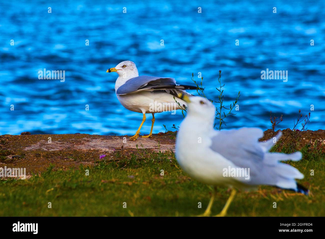 Being judgmental hi-res stock photography and images - Alamy