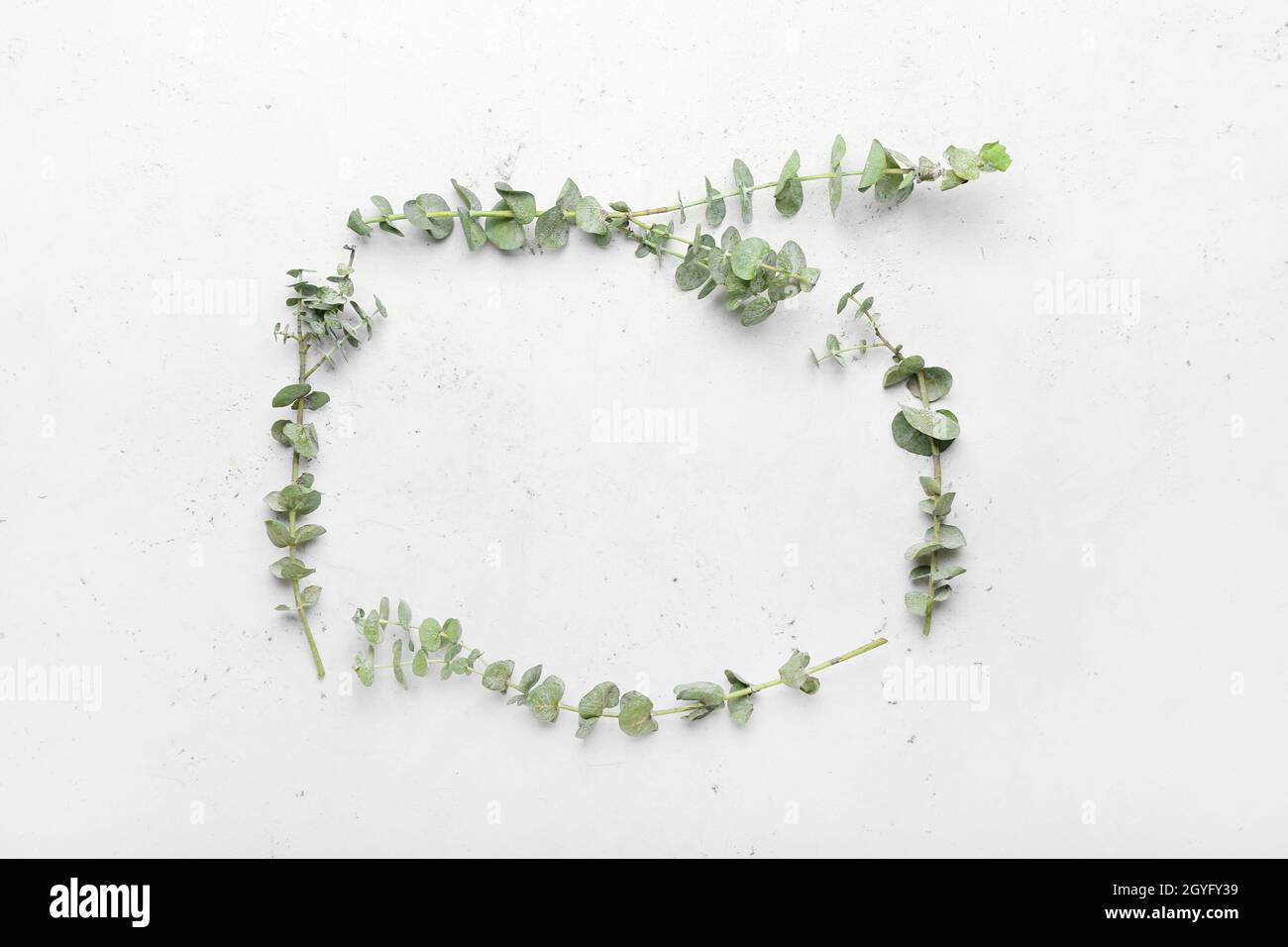 Frame made of fresh eucalyptus branches on light background Stock Photo ...