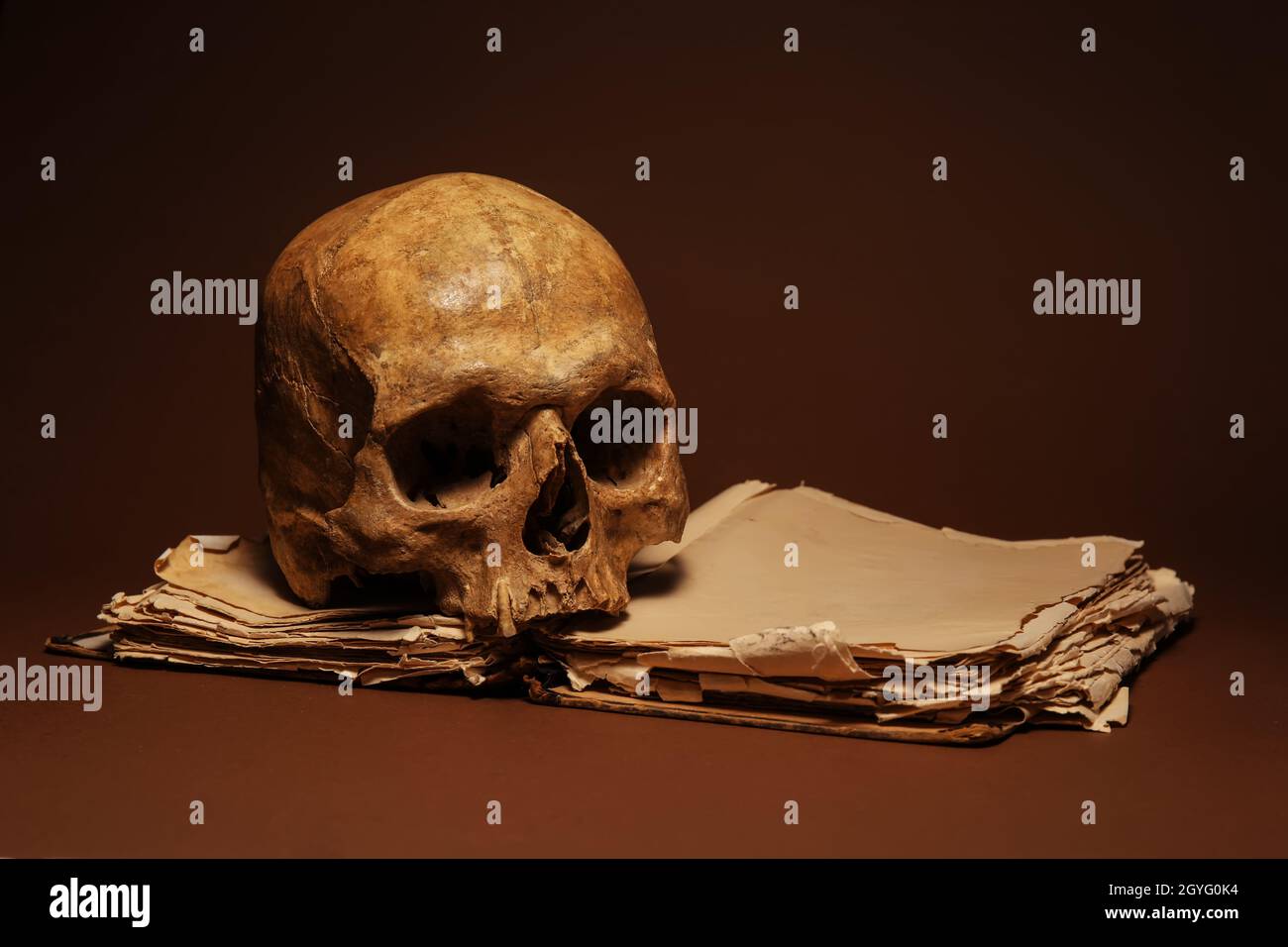 Witch skeleton archaeology hi-res stock photography and images - Alamy