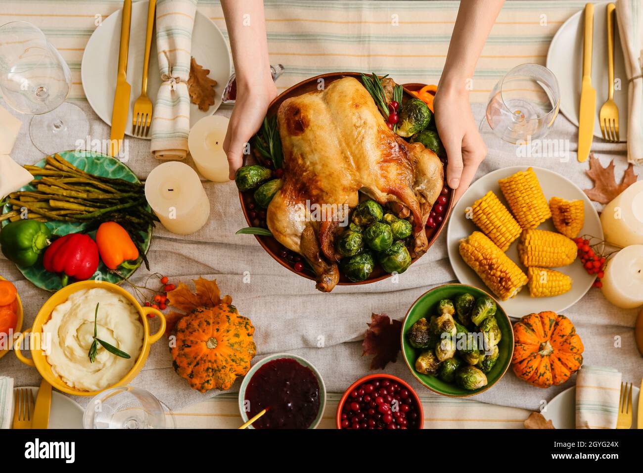 Person holding thanksgiving turkey hi-res stock photography and images ...