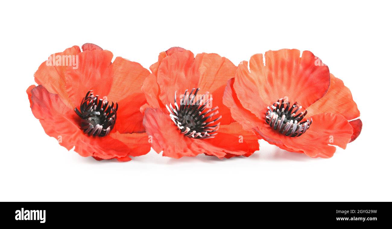 Remembrance Day in Canada. Red poppy flowers on white background Stock ...