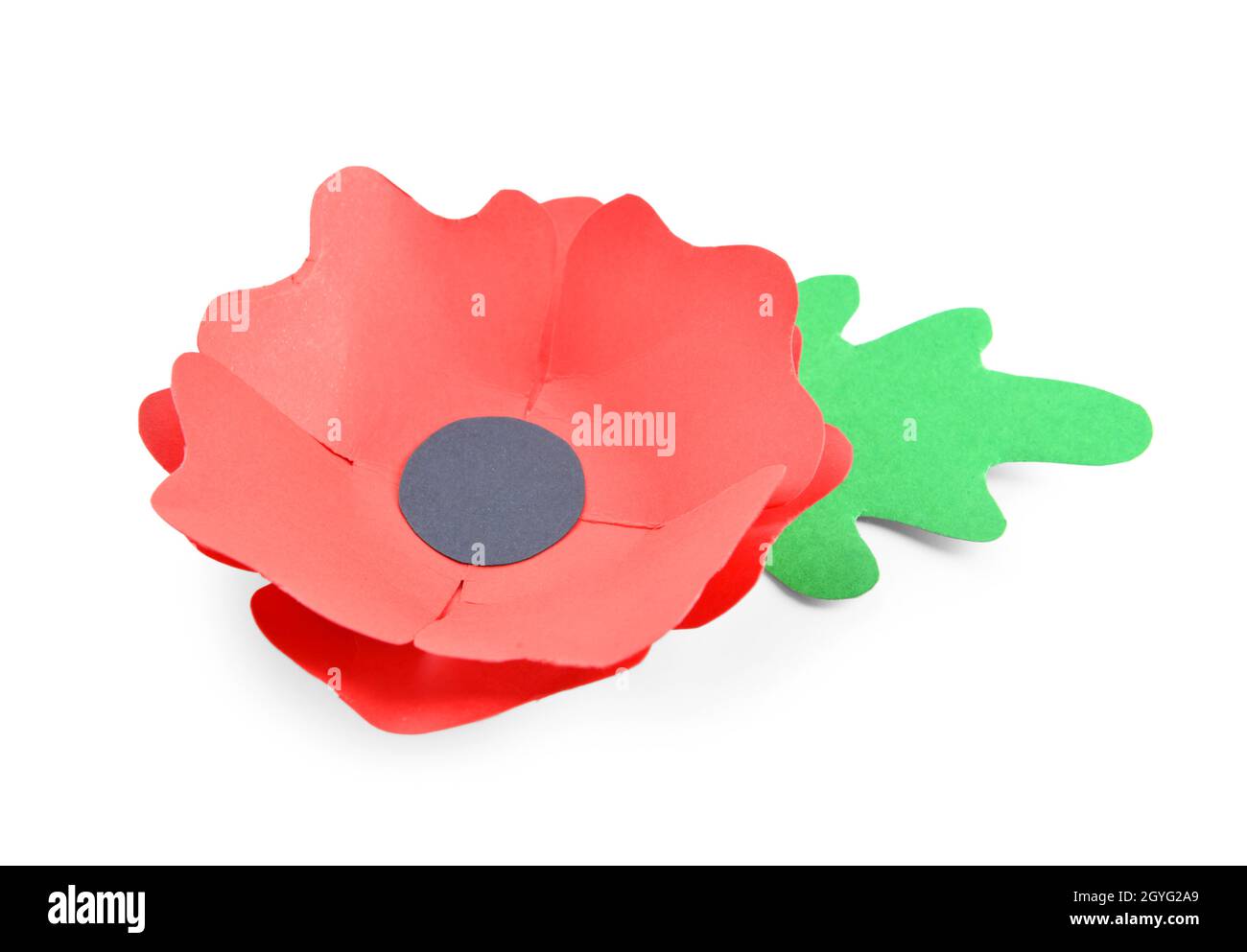 Remembrance Day in Canada. Red poppy flower on white background Stock ...