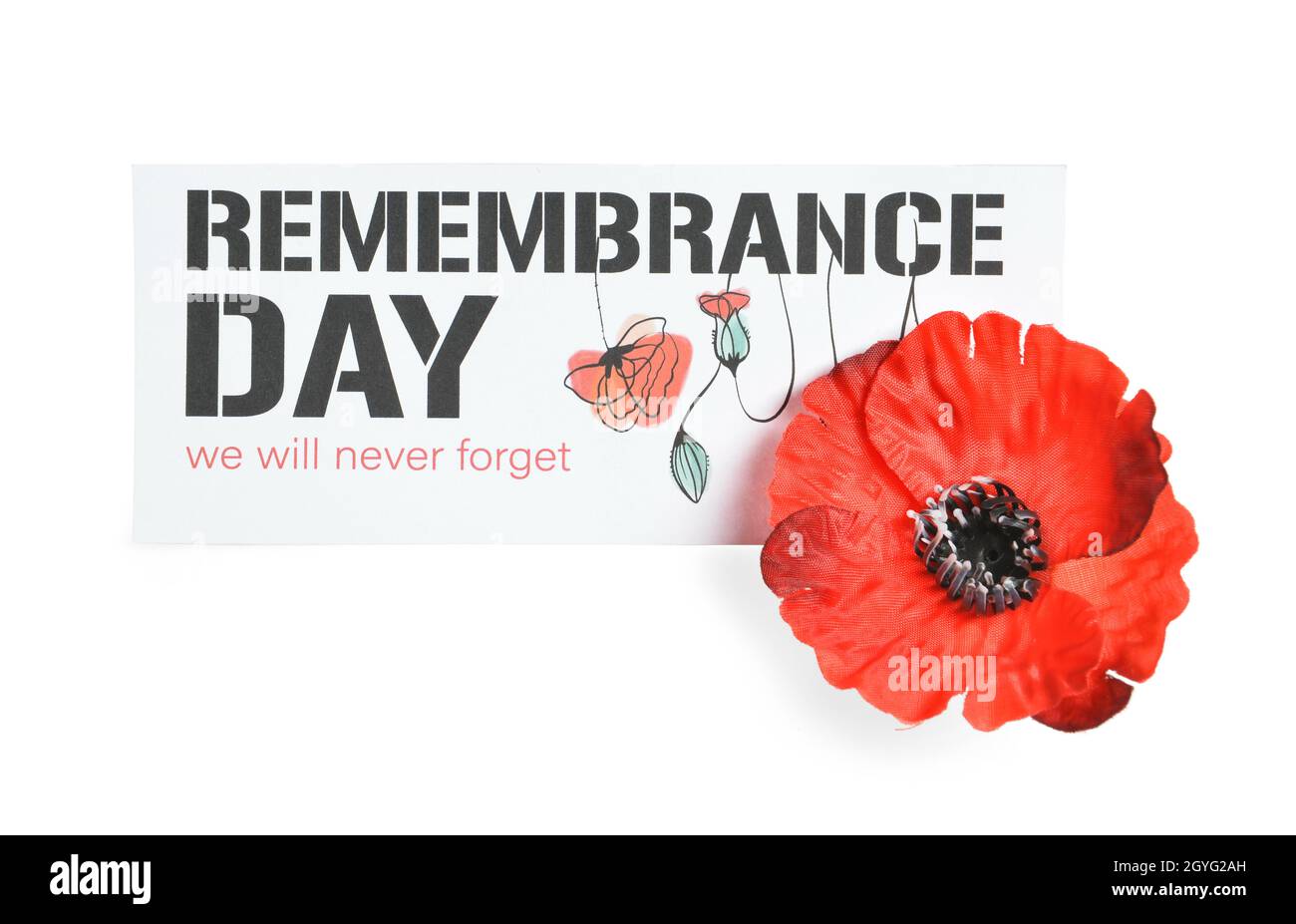 Canadian November Backgrounds