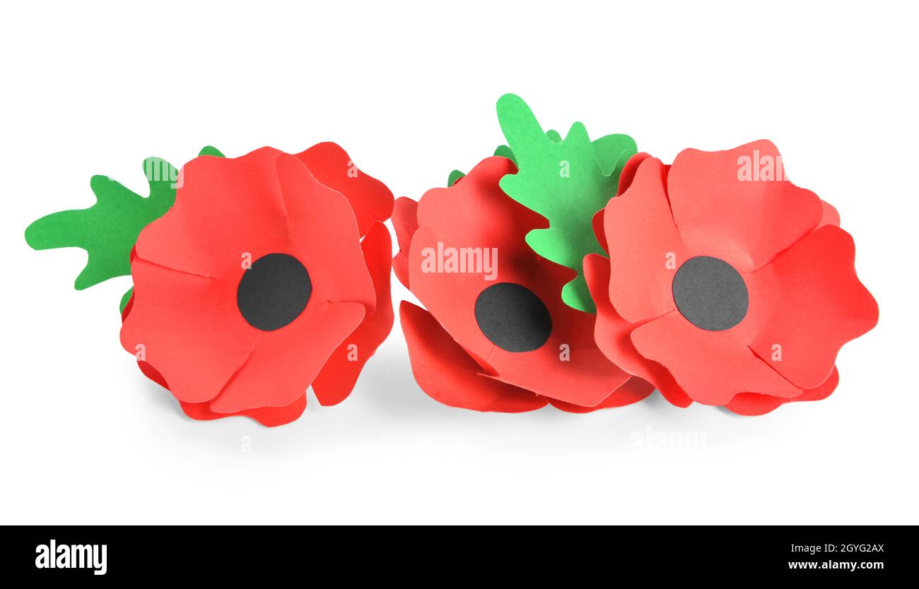 Remembrance Day in Canada. Red poppy flowers on white background Stock ...