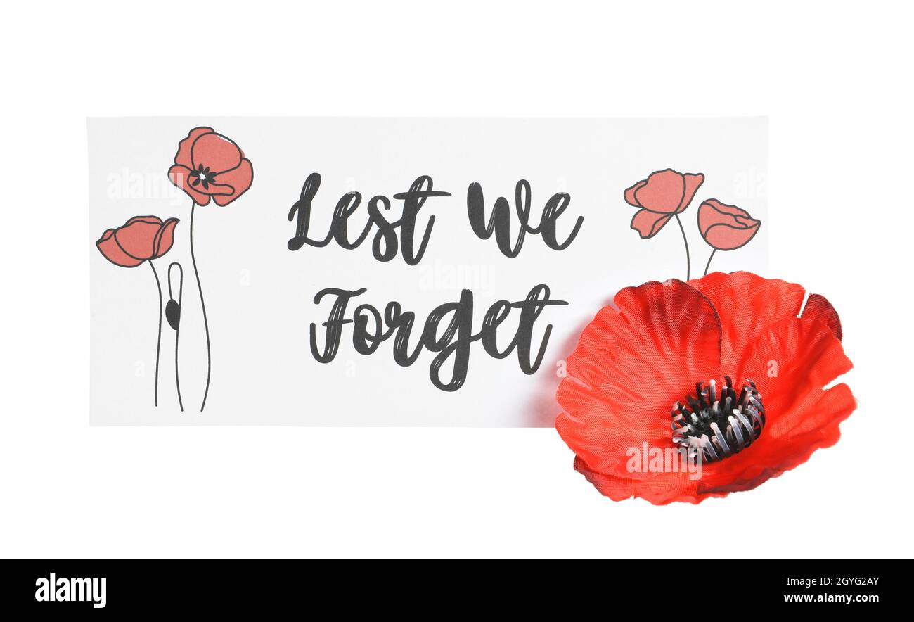 Remembrance Day in Canada. Red poppy flowers with card on white ...