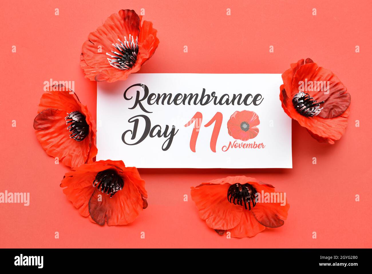 Canadian November Backgrounds