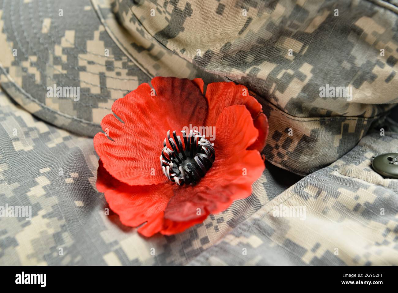 Poppy flower on uniform, closeup. Remembrance Day Stock Photo - Alamy