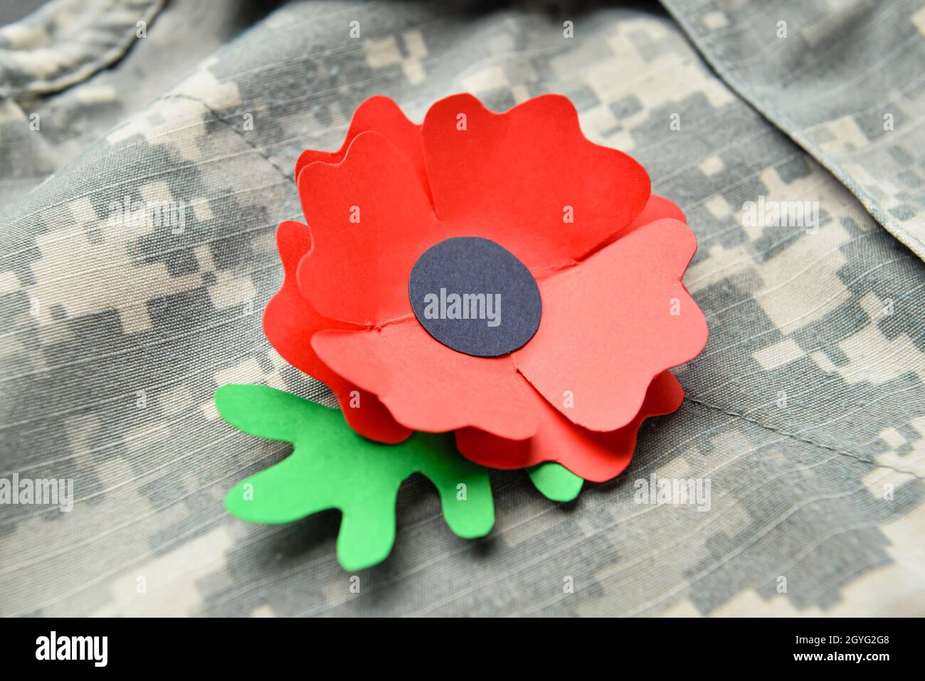 Paper poppy flower on uniform, closeup. Remembrance Day Stock Photo - Alamy
