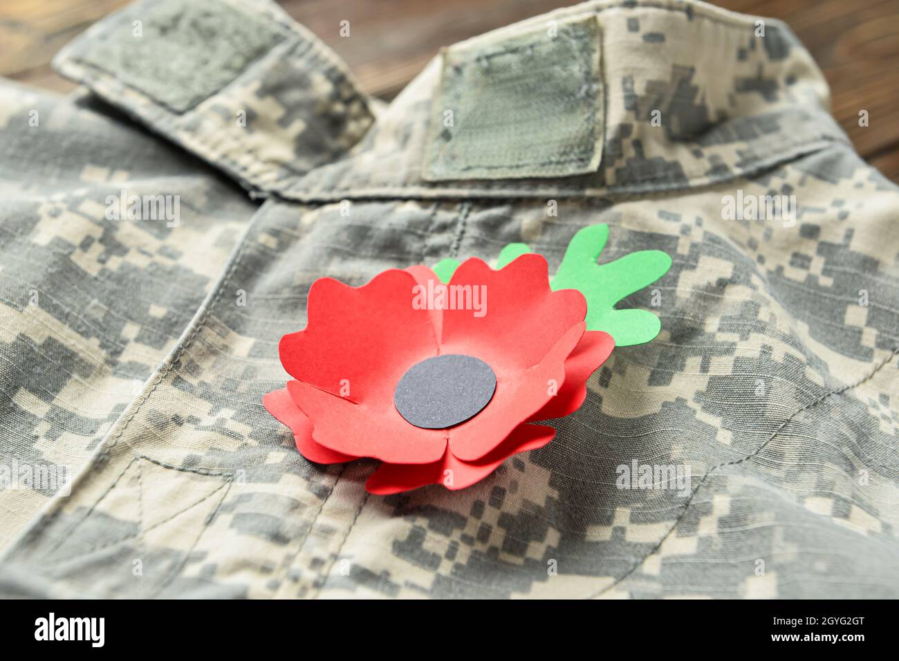 Paper poppy flower on uniform, closeup. Remembrance Day Stock Photo - Alamy