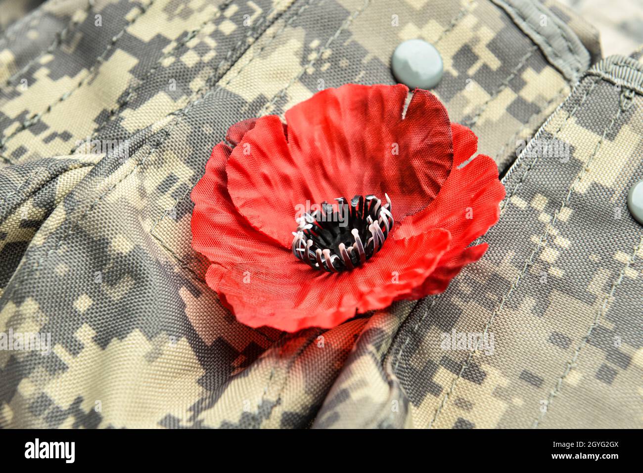 Poppy flower on uniform, closeup. Remembrance Day Stock Photo - Alamy