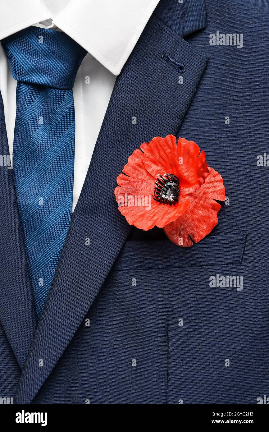 Poppy flower pinned on male clothes, top view. Remembrance Day Stock ...