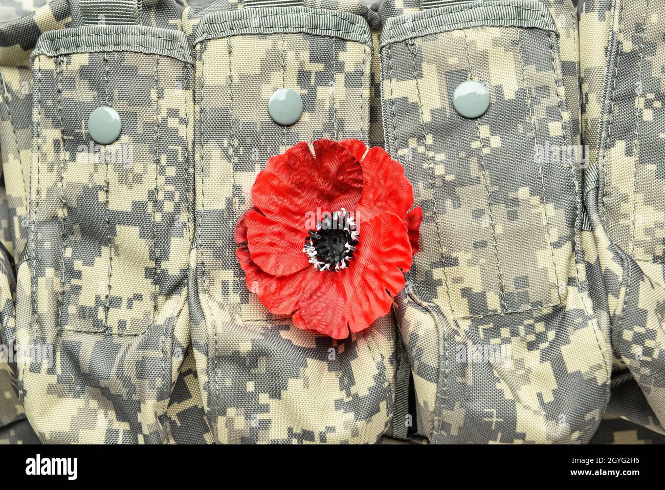 Poppy flower on uniform. Remembrance Day Stock Photo - Alamy