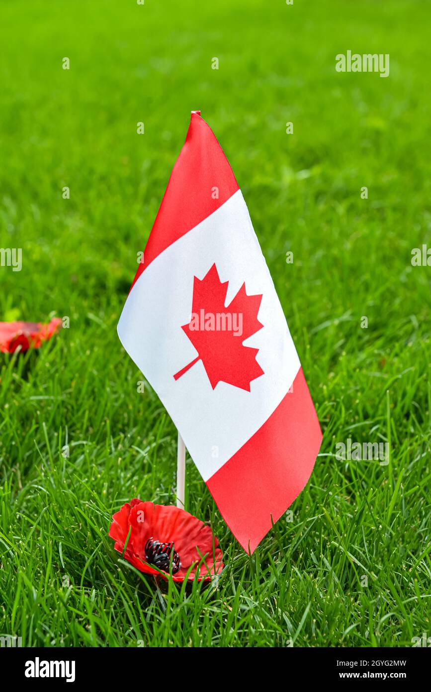 Canada war memorial green park hi-res stock photography and images - Alamy