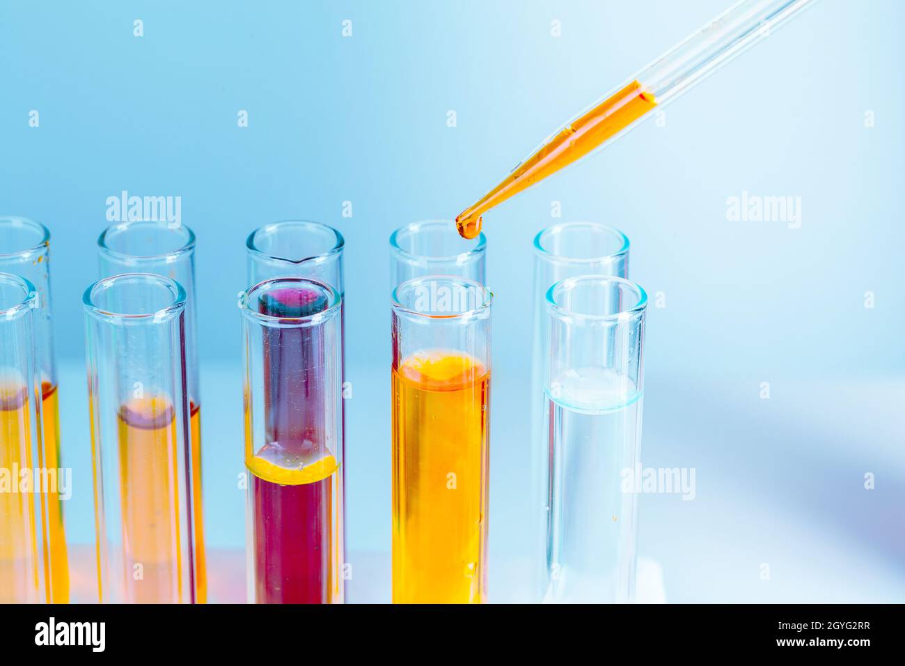 Laboratory test tubes with red and yellow liquids on light blue ...