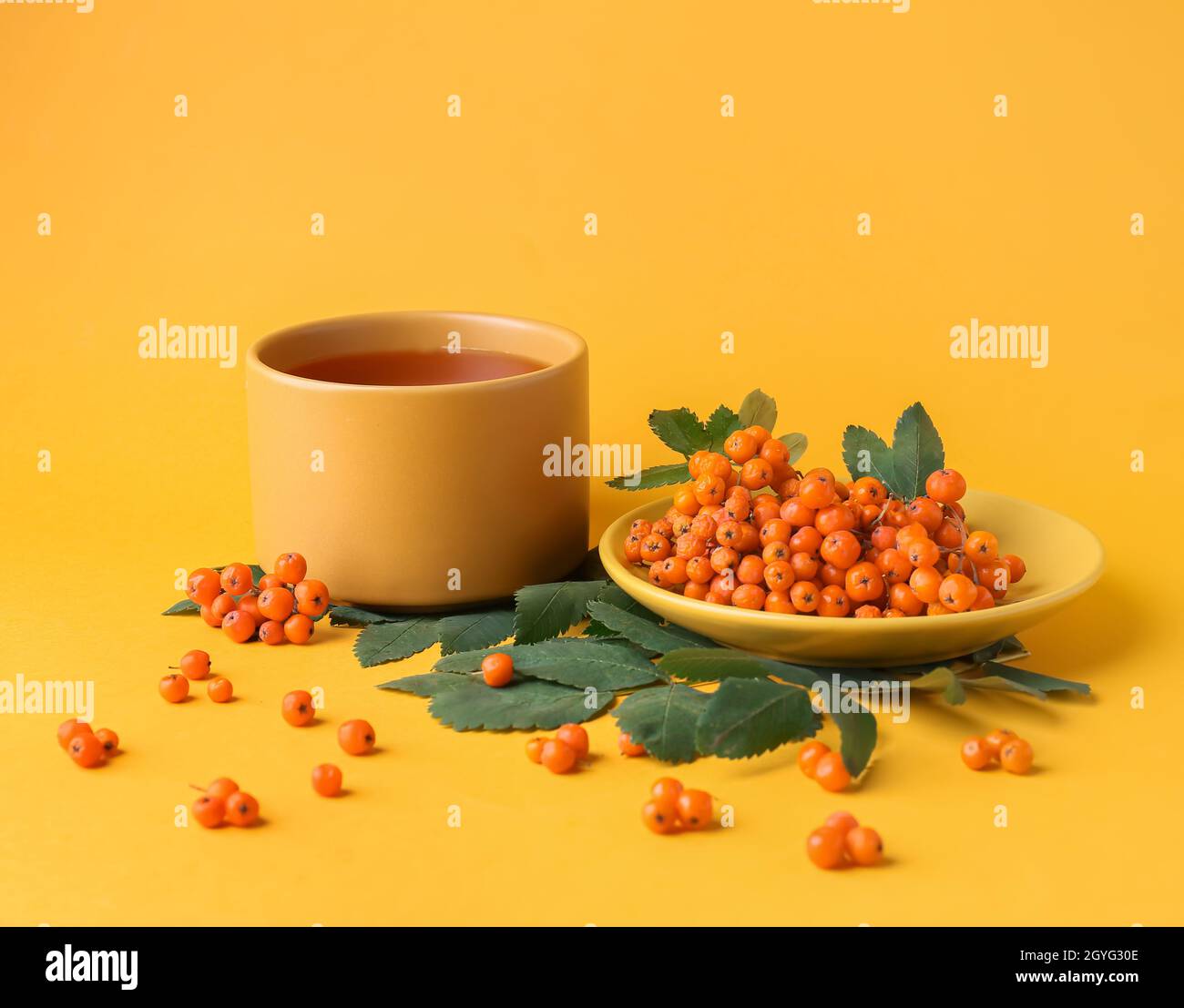 Cup of delicious rowan tea and berries on color background Stock Photo ...