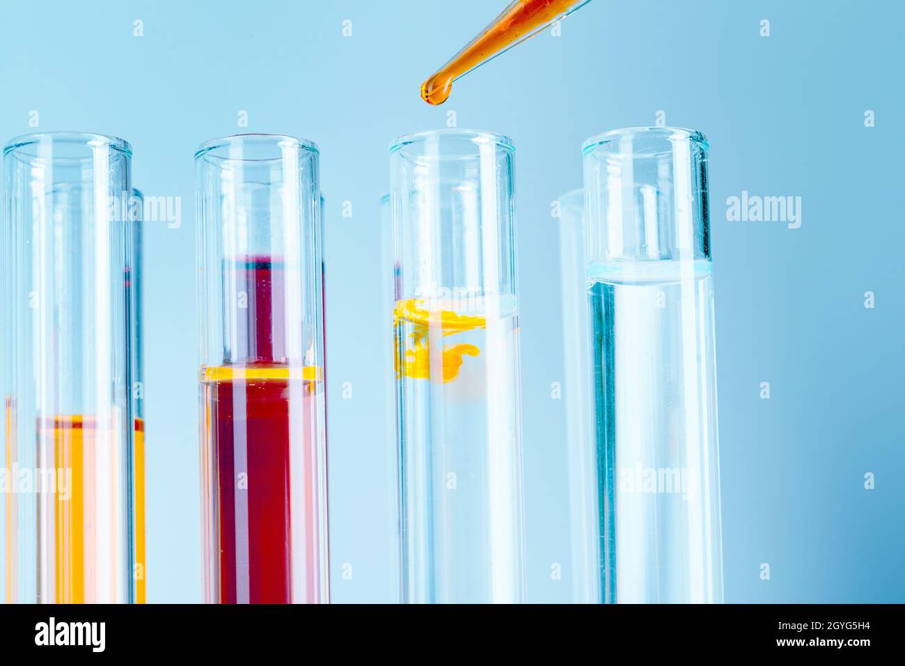 Laboratory test tubes with red and yellow liquids on light blue ...