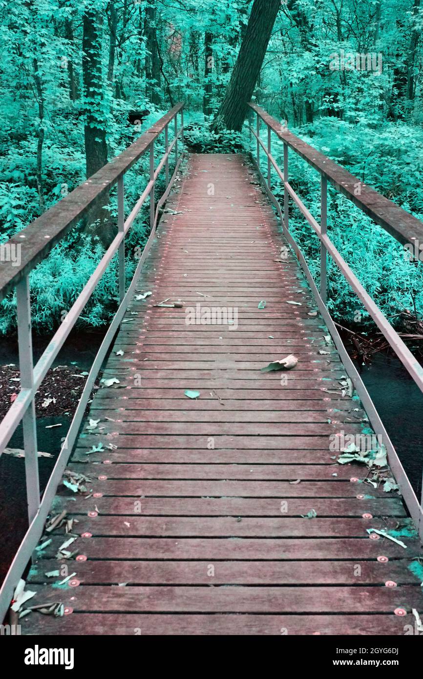 Mystical walkway through a vibrant forest shot in infrared Stock Photo ...
