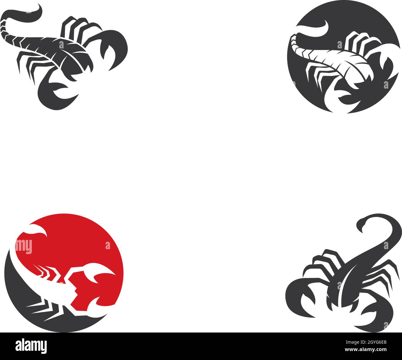 Scorpion Logo Template Vector illustration Stock Vector Image & Art - Alamy