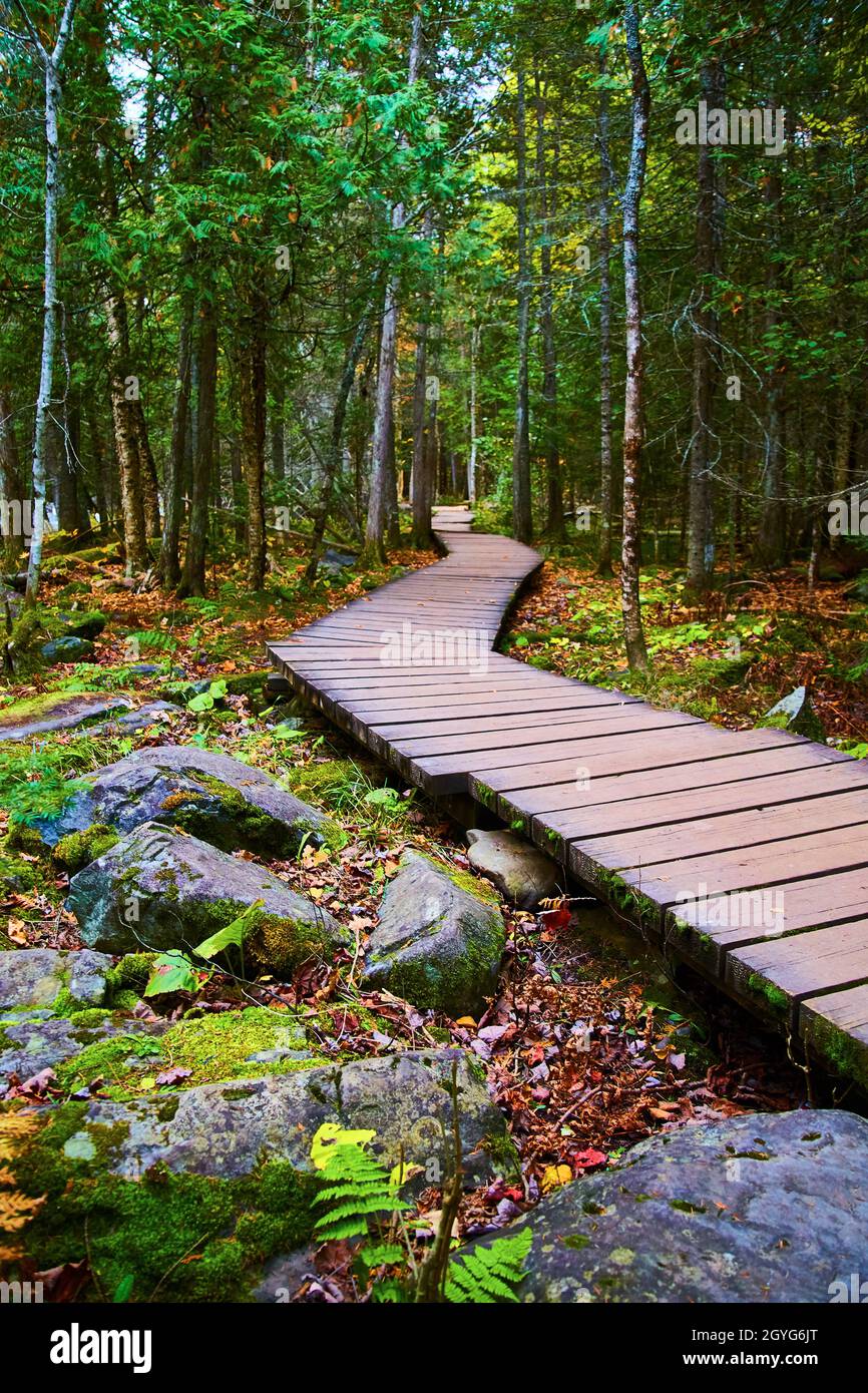 Winding forest path through autumn hi-res stock photography and images ...