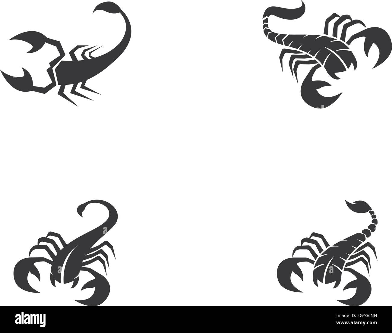 Scorpion Logo Template Vector illustration Stock Vector Image & Art - Alamy