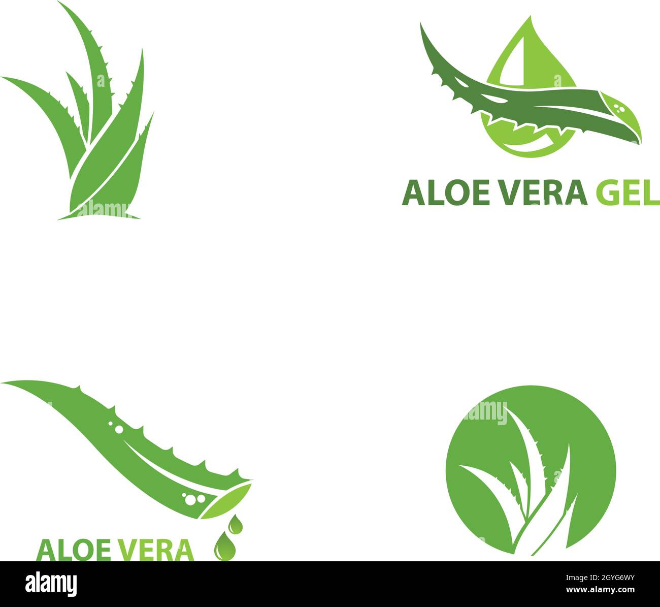 Aloe vera logo vector ilustration template Stock Vector Image & Art - Alamy