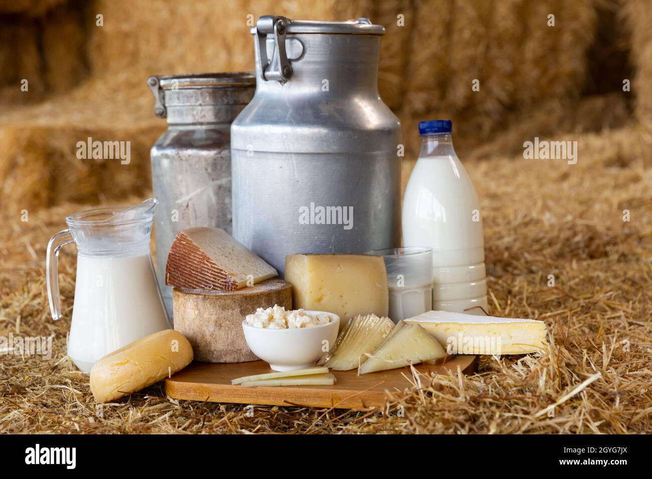 Milk and different dairy products at cowshed Stock Photo - Alamy