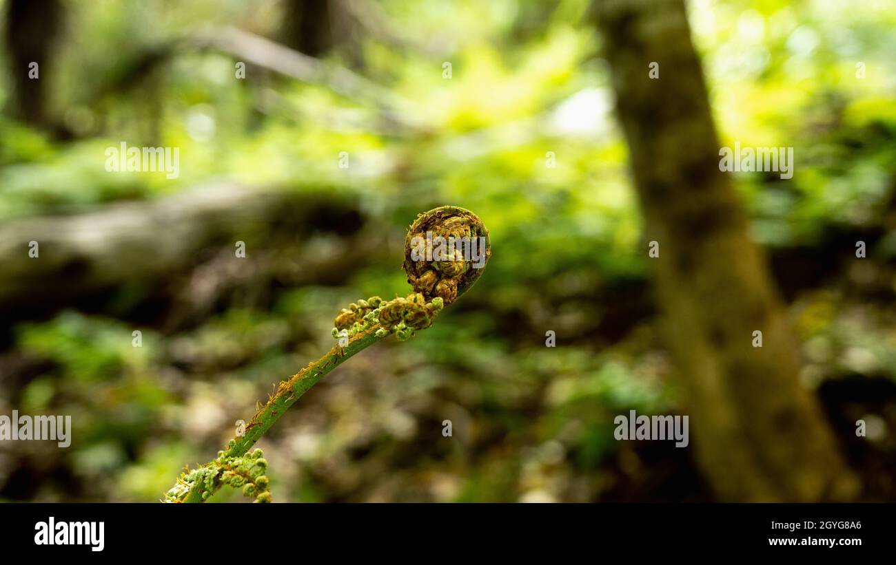Mostly found hi-res stock photography and images - Alamy