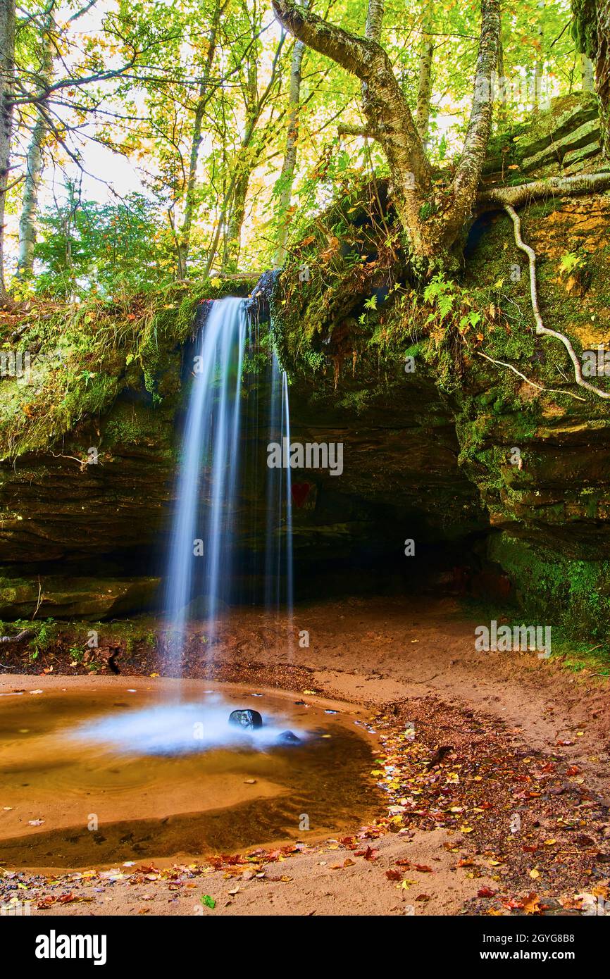 Scott Falls waterfall with tree barely clinging to the steep cliff wall ...