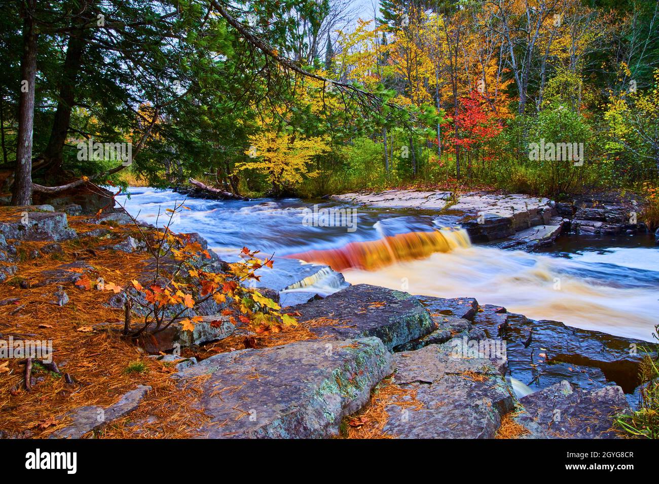 Outdoor trees and leaves landscape small mountains hi-res stock ...