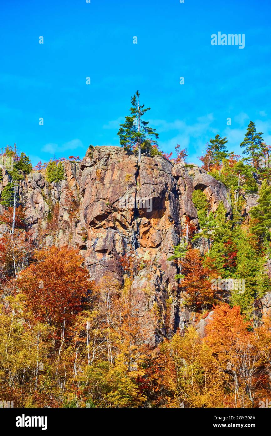 Tree atop tall cliff with fall colors in the trees at the cliff's base ...