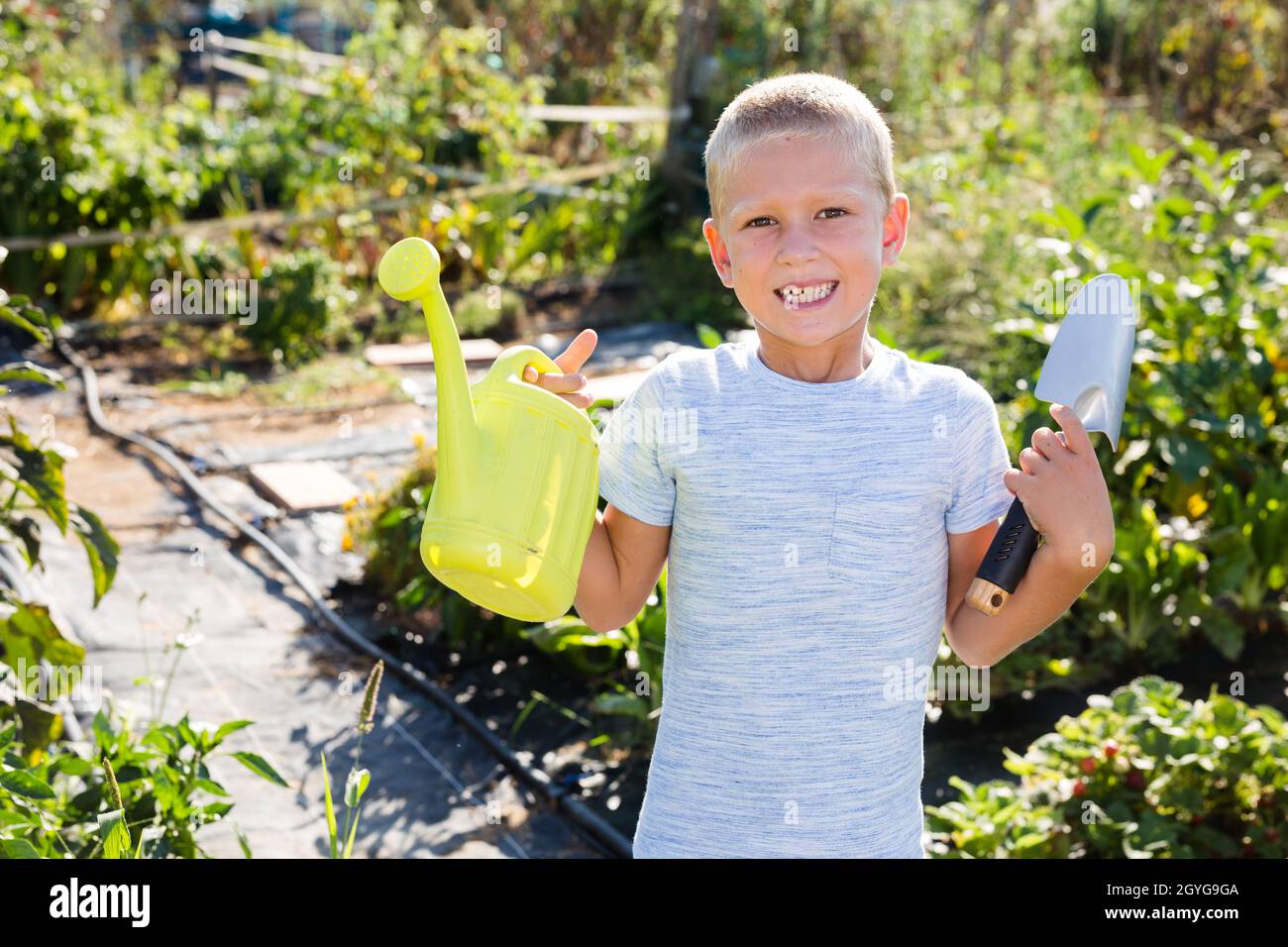 Boy working in garden Stock Photo - Alamy