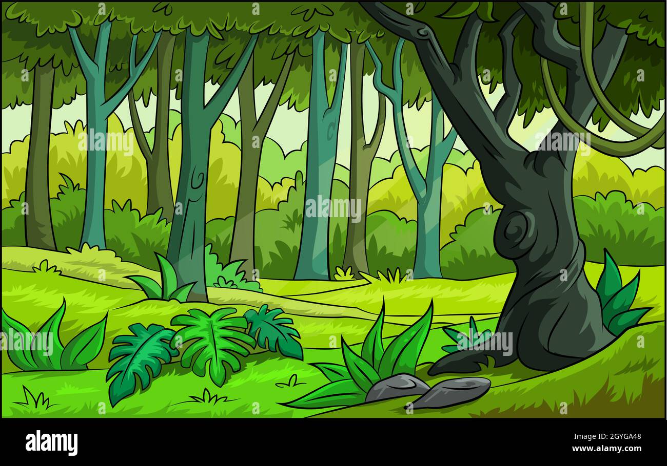 Cartoon Rainforest Clipart Cartoon Rainforest Clipart
